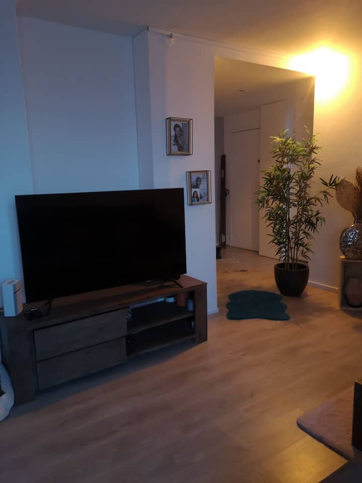 Bienvenue En France - Montigny-le-Bretonneux