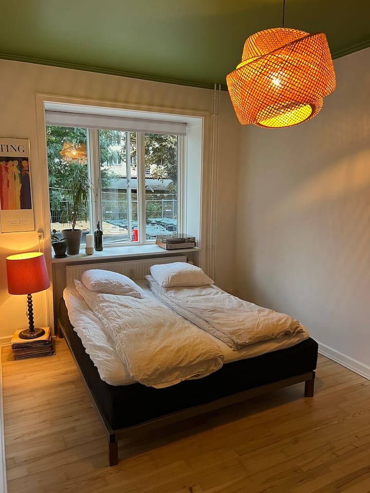 Spacious Apartment In Central Copenhagen - Copenhague