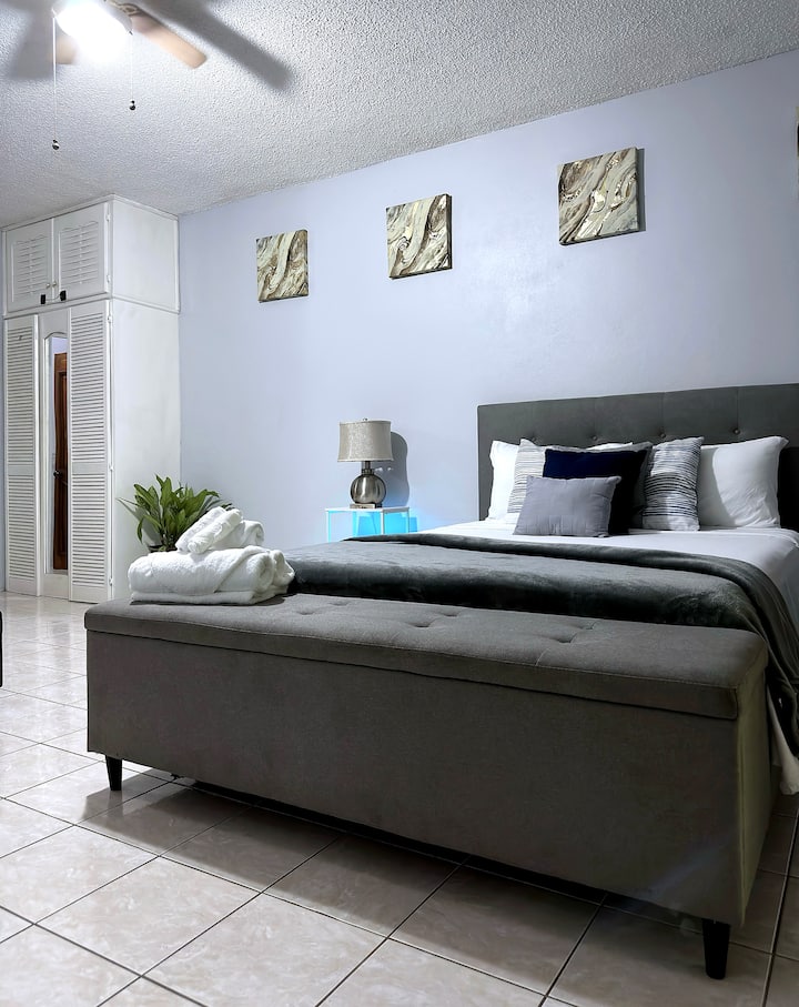 Minimalistic Central Studio Apt - Kingston