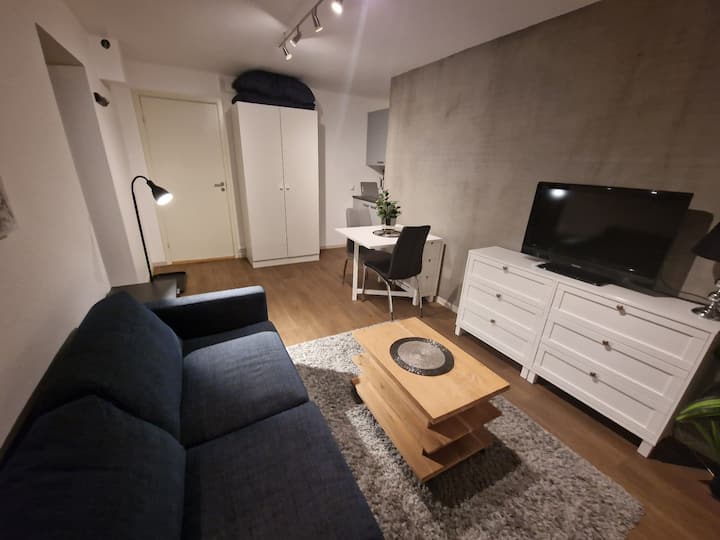 Studioleilighet I Sokkeletasje - Tromsø