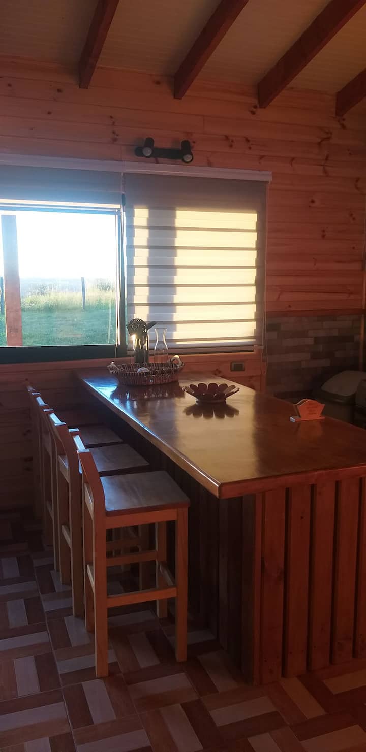 Hermosa Cabaña Con Vista Al Lago - Futrono