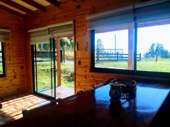 Hermosa Cabaña Con Vista Al Lago - Futrono