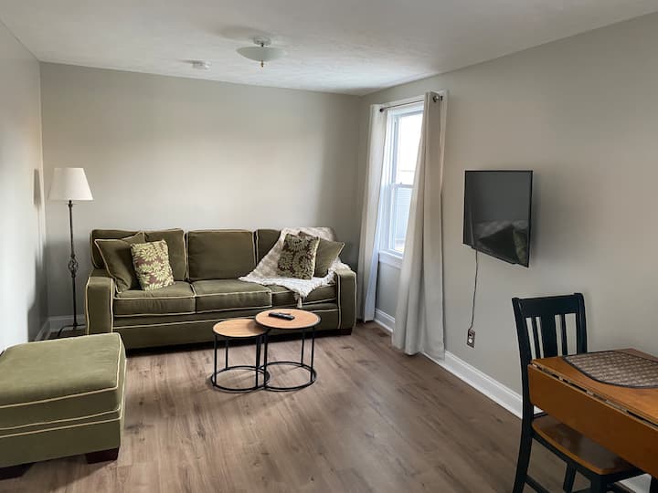 Urban Charm In Detroit Shoreway - Cleveland