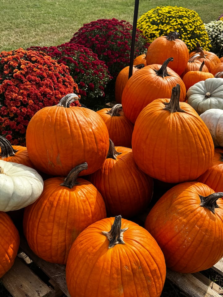 Fall Intotranquility - 2 Bdrm Condo - New Spa - Grand Junction, CO