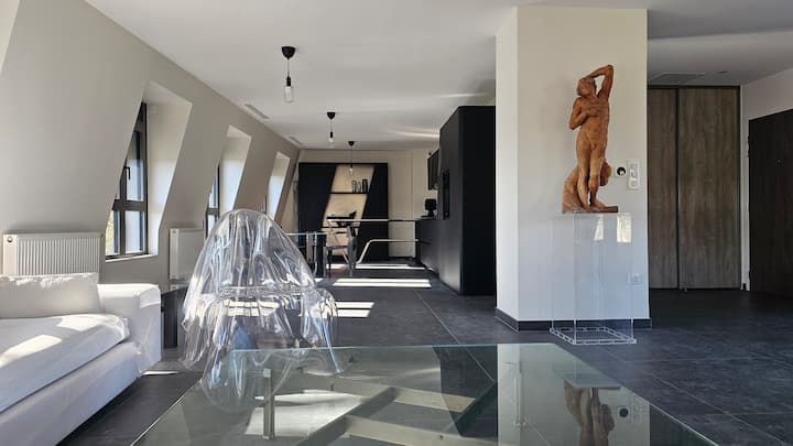 Penthouse Avec Terrasse - Vichy