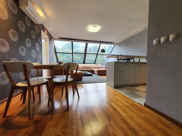 Amazing Penthouse Old Town 96 Sqm 3 Bedrooms - Bosnia and Herzegovina