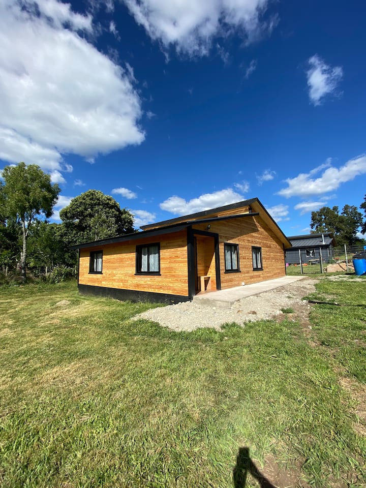 Cabaña Amplia Panguipulli - Panguipulli