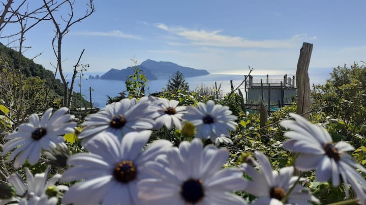 S.croce&s.antoninohouse2 - Capri