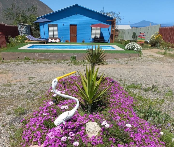 Casa En Coquimbo Con Piscina Temperada Mar - Dic. - Coquimbo