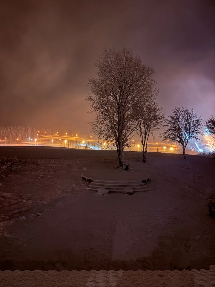 Enebolig Nær Steinkjer Skistadion - Steinkjer