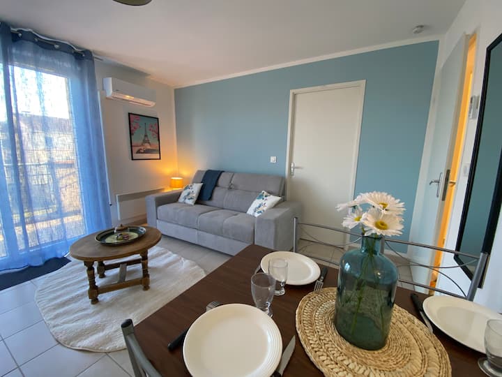 Le Voyage Bleu, Clim/parking - Carcassonne