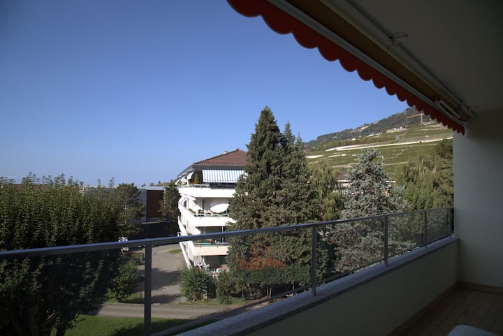 Appartement Avec Emplacement De Choix - Montreux