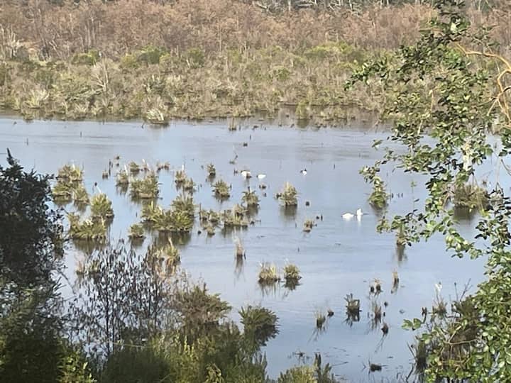 Alojamiento Cabaña Naturaleza A 35 Min De Valdivia - Los Ríos