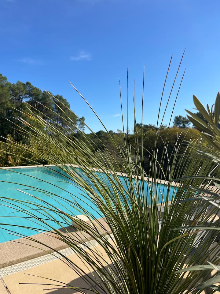 Le Chaleureux Logement 3* « Le Thym » - Roussillon