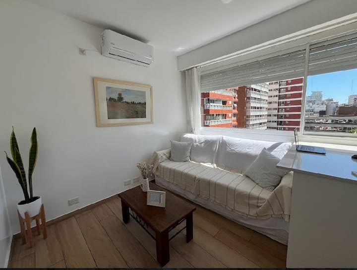 Nice, Cozy & Luminous Apartment - Recoleta