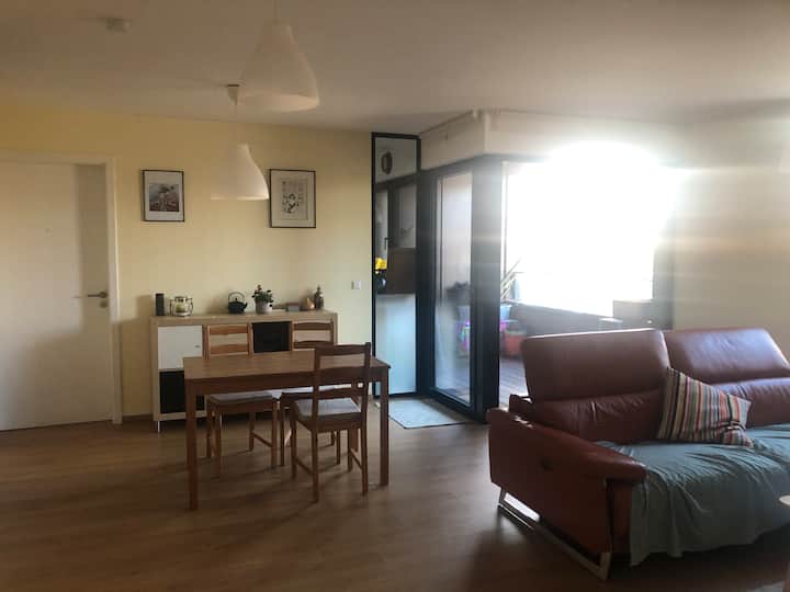 Belval - Joli Appartement Avec Terrasse Et Garage - Esch-sur-Alzette