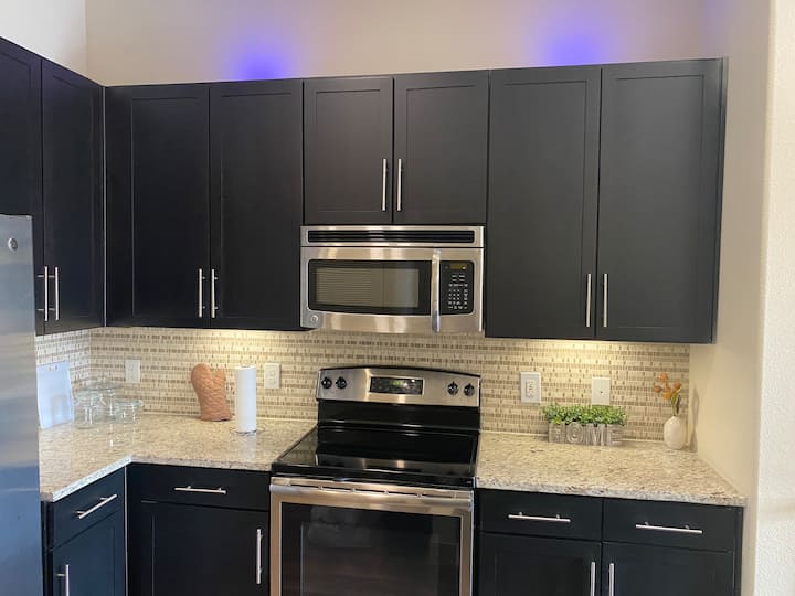 Upscale Apt. Near Medical Center, Nrg, Downtown - Houston, TX