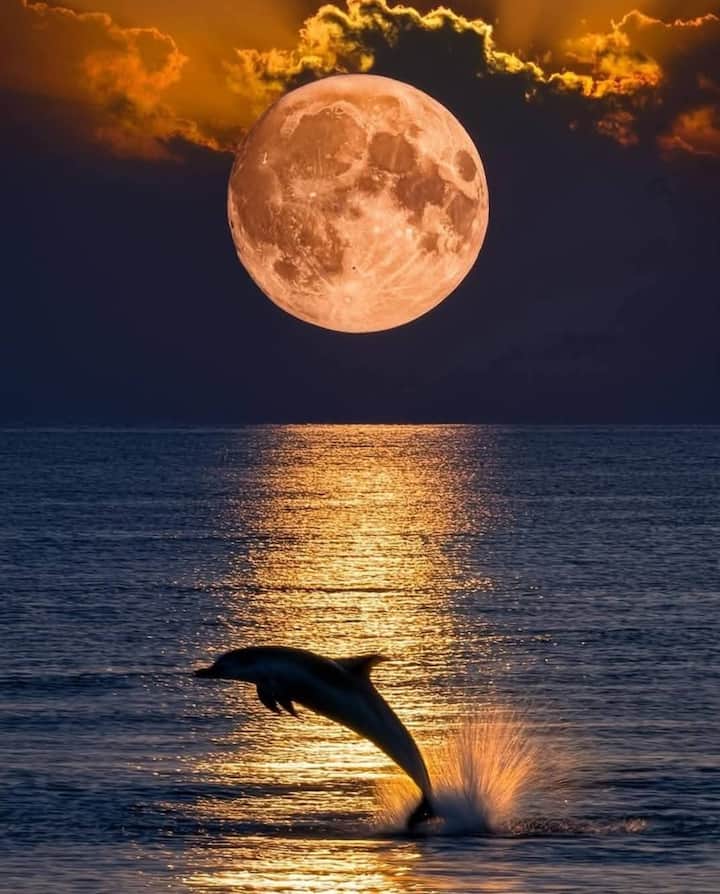 Relax In Sunny Spain - La Mata