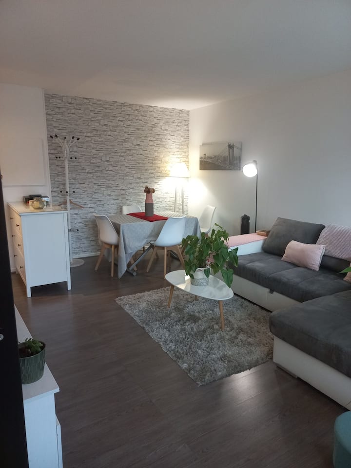 F2 Cosy Centre-ville Proche R.e.r - Rosny-sous-Bois