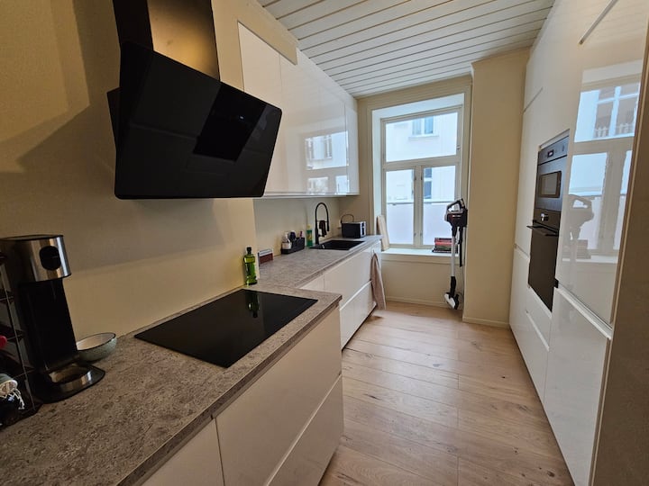 Fin Nyoppusst Leilighet, Frogner - Oslo