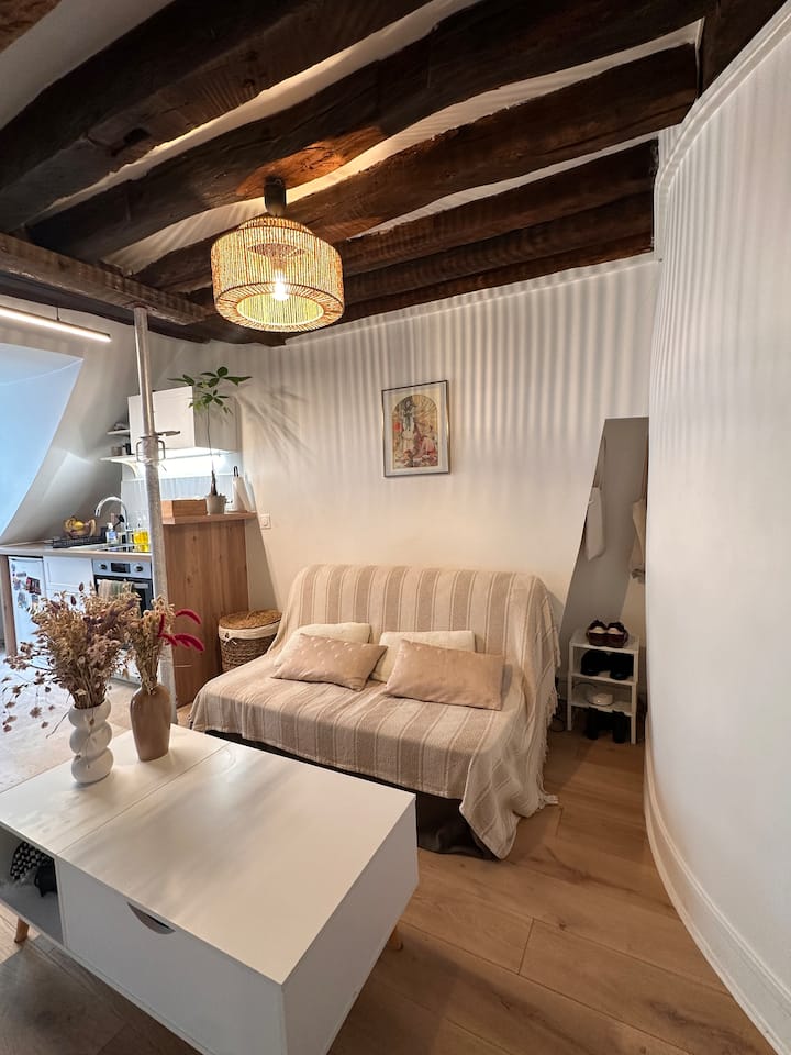 Charmant Studio à Notre-dame - Cathédrale Notre-Dame de Paris