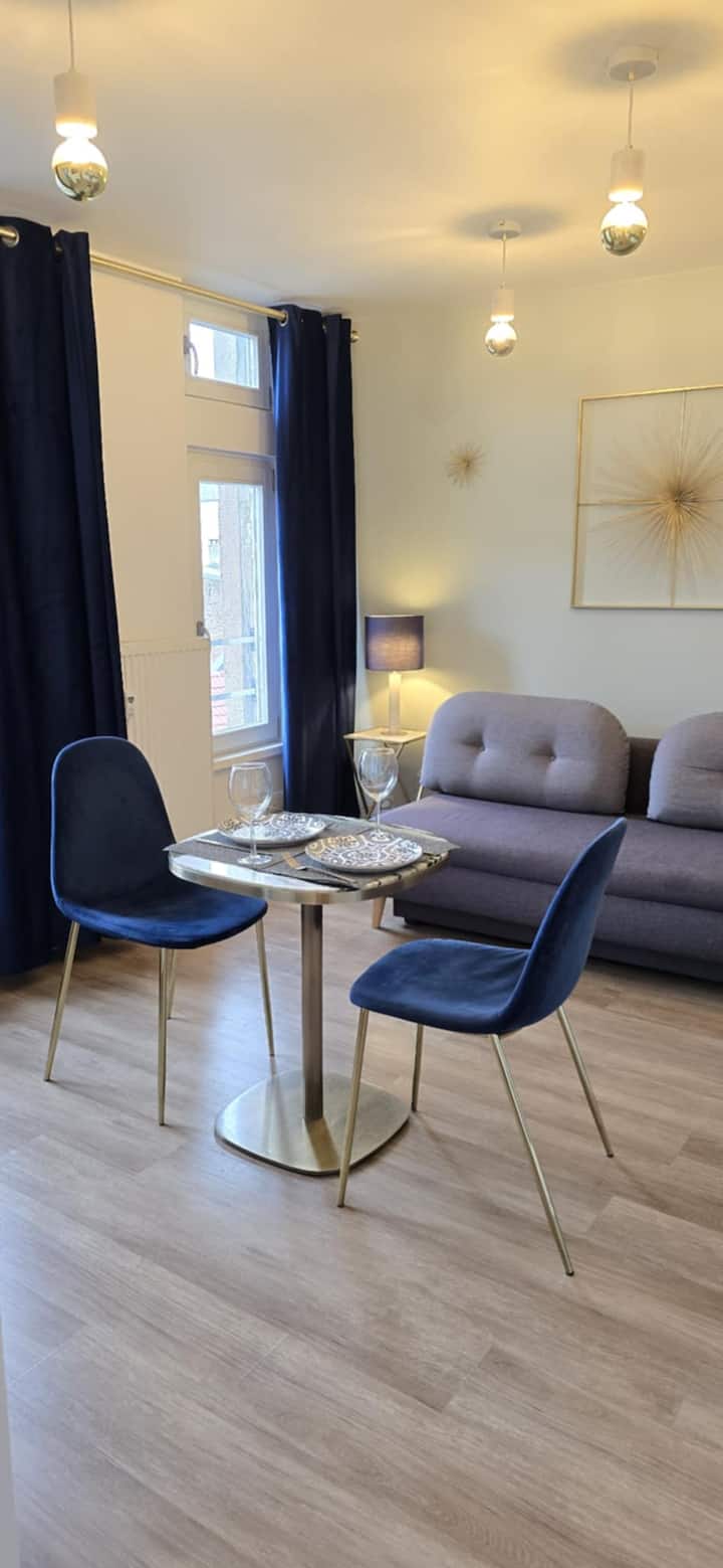 Appartement 2p Strasbourg Centre - Straatsburg