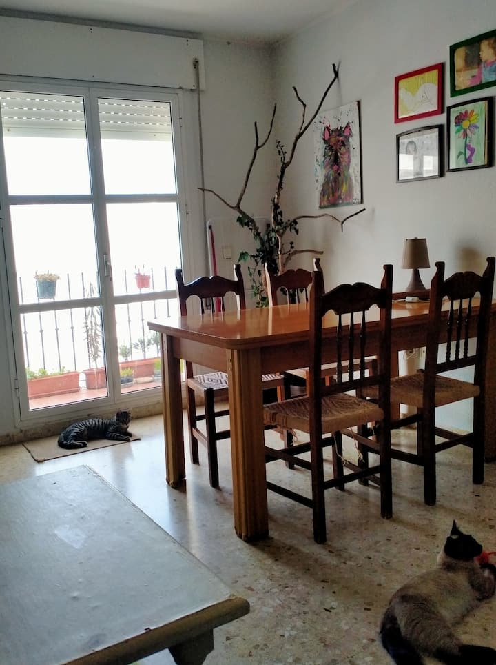 Habitación - Conil de la Frontera