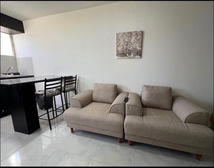 Cómodo Loft A Cuadras De Imss 71 Espacio Estaciona - Gomez Palacio