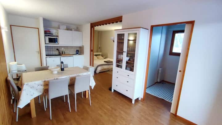 Ski-in • 1800m • Vue Montagne • 45 M² • 6 Pers - Puy-Saint-Vincent