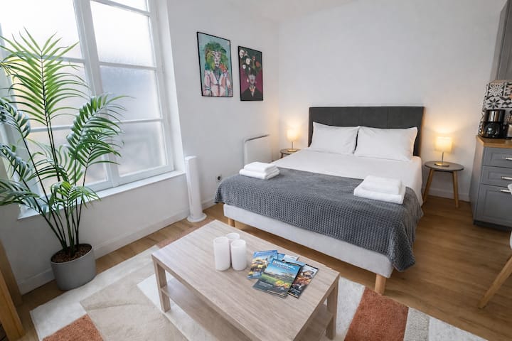 Beau Studio - Climatisé - Bureau - Gare à 100 M - Tours