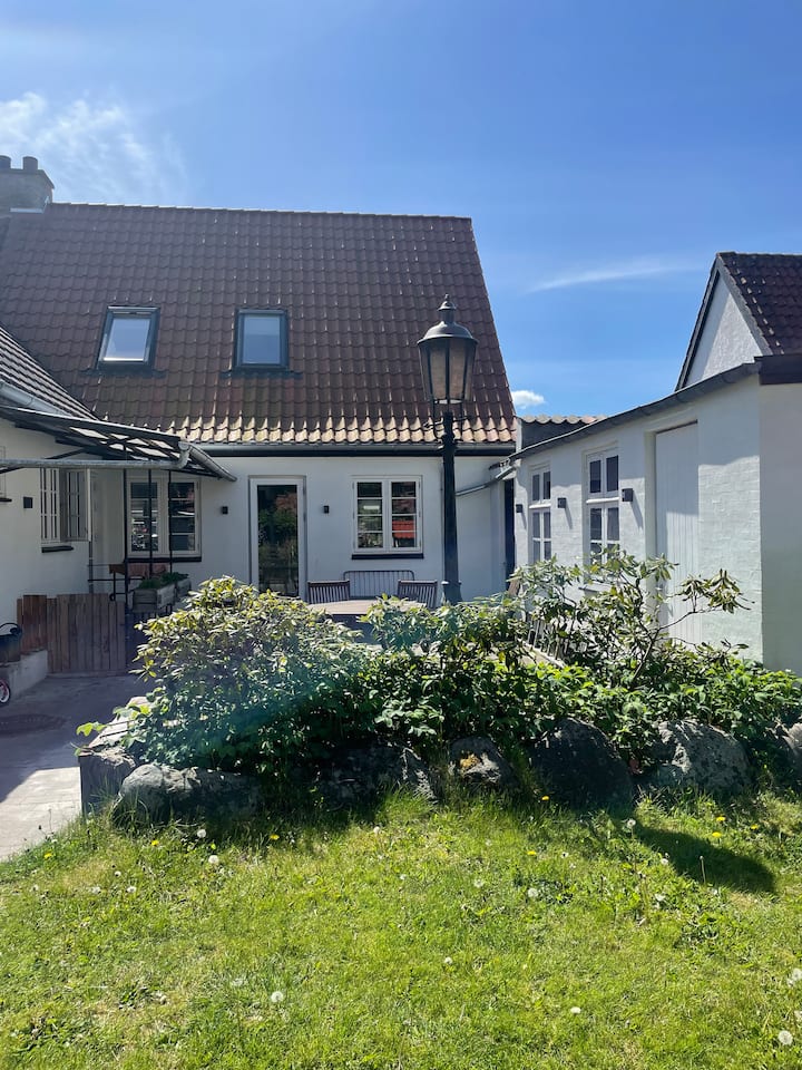 Charmerende Og Familievenligt Byhus - Odense