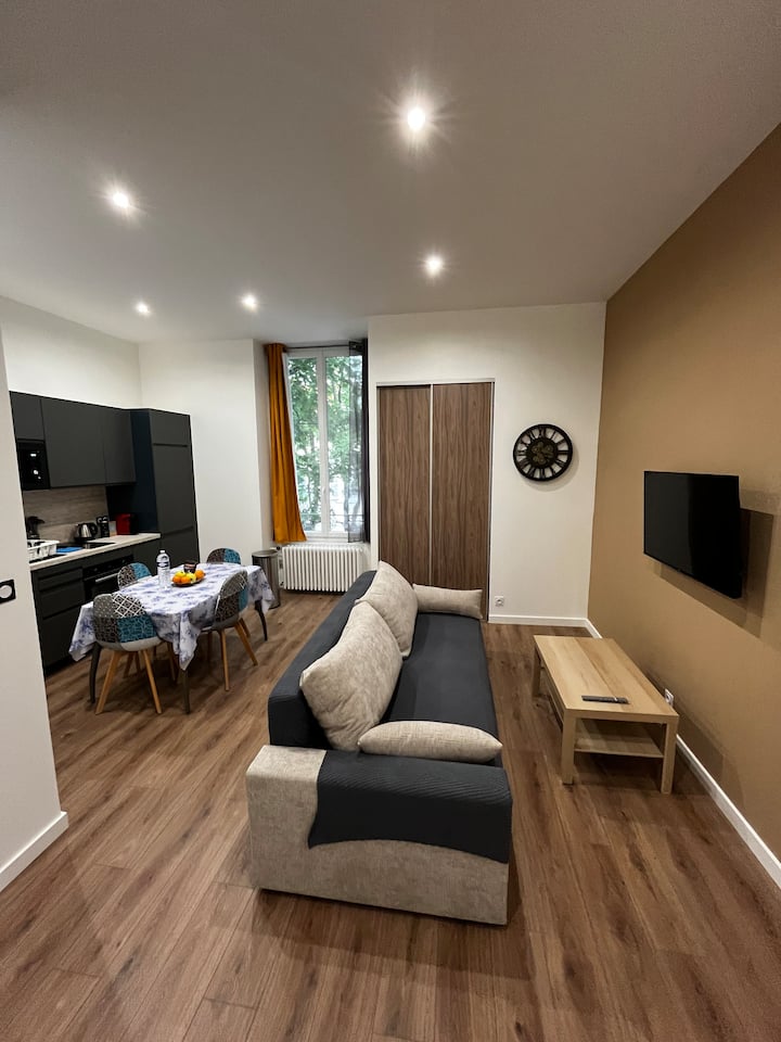 Le Charme Au Cœur De La Ville - Vichy