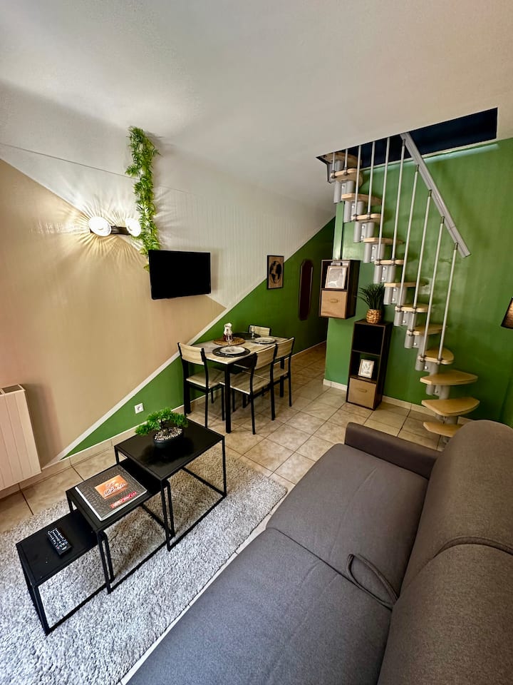 Appartement T2 Porto-ota - Porto