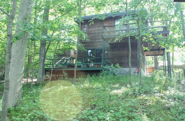 Architect's Modern Tree-house In Cayuga Heights - Ithaca, NY