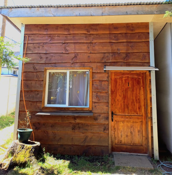 Toro Bayo - Valdivia