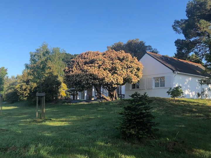 Maison Immaculée - Saint-Nazaire