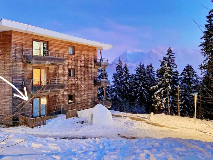 Appartement T2 , Au Cœur De La Nature - Chamrousse