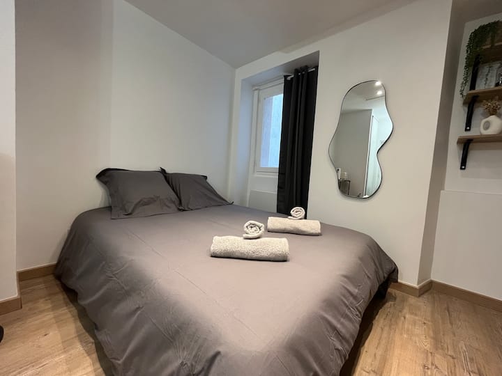 Le Petit Toulousain - Logement En Hyper Centre - Toulouse