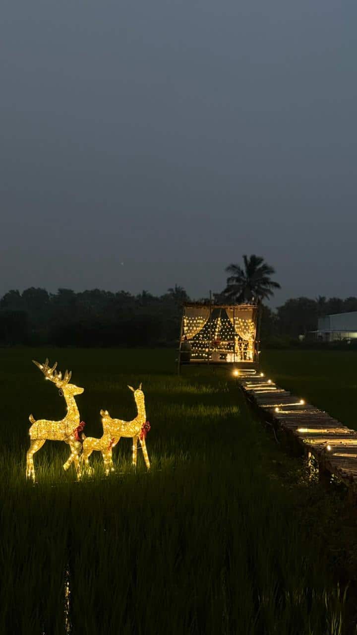 Midori Luxury Farm Stay - Mahabalipuram