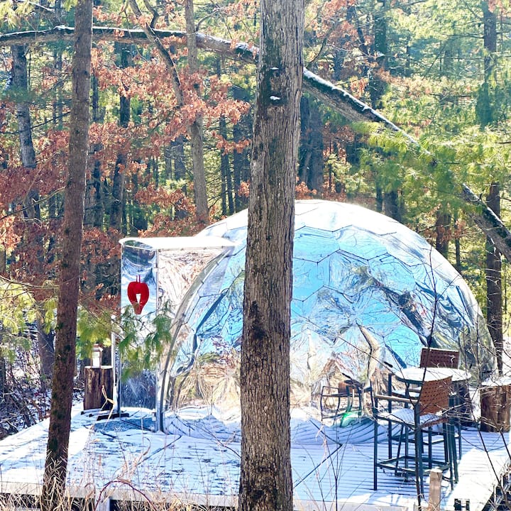 Dells Domes- Woodland Haven -Dome 3 - 威斯康星德爾斯