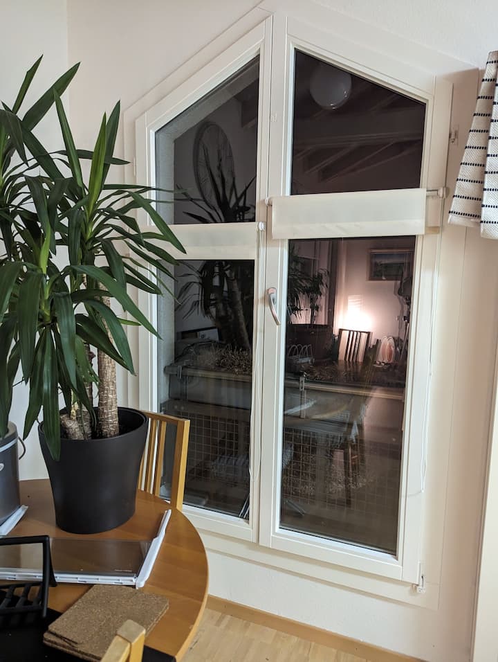 Cosy And Quiet Little Appartment - Solothurn