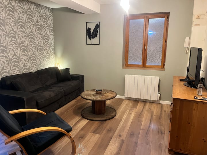 Appartement 6 Pers Centre-ville - Beaurepaire