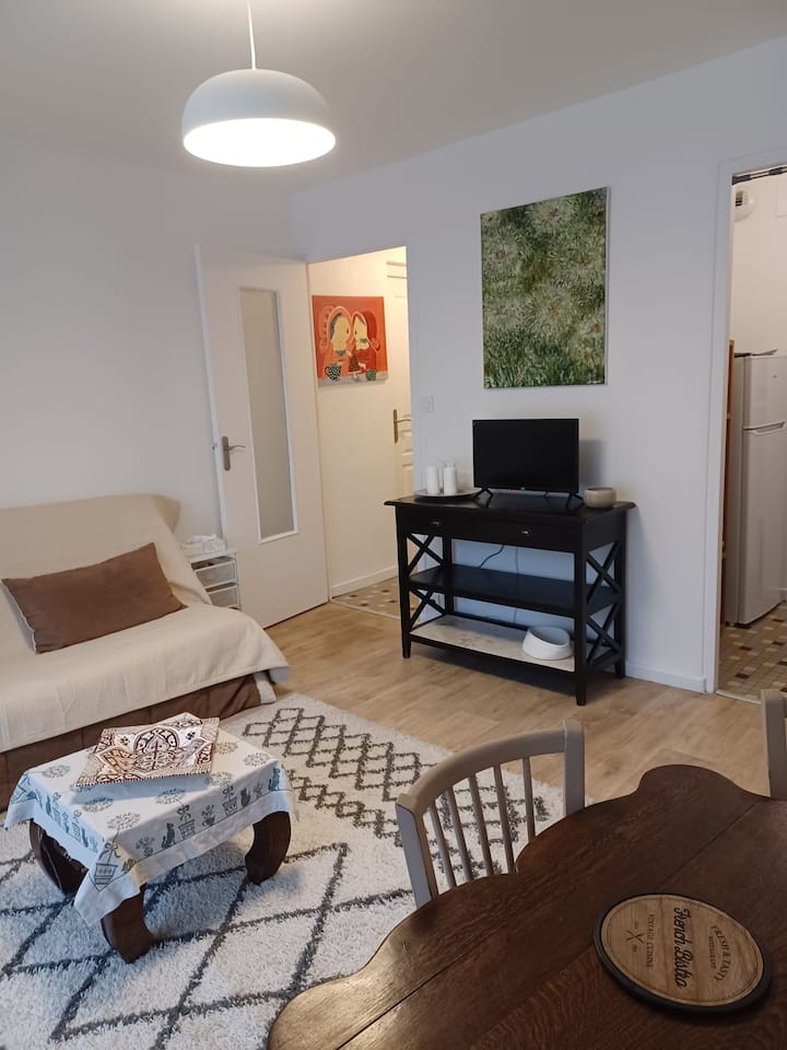 Studio Oullins, Proche Confluence. - Oullins