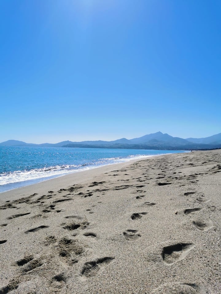 Grand Appartement 300m De La Mer - Argelès-sur-Mer