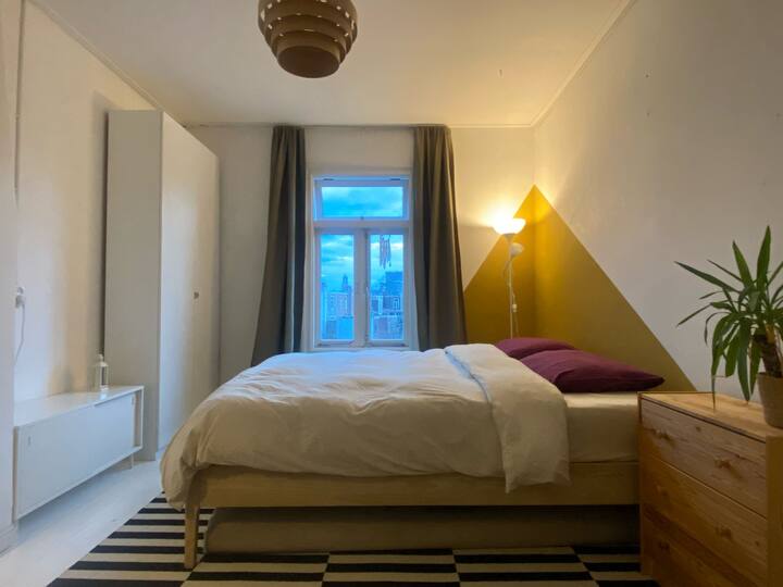 Spacious Room In 1906 Townhouse - Utrecht