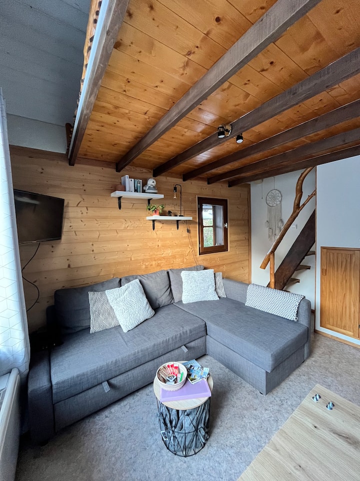 Studio 4 Pers.- Vue Montagne- Proche Du Centre - Châtel