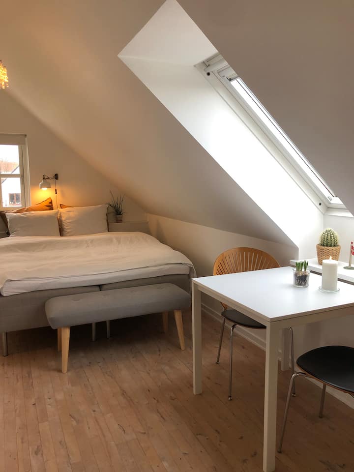 Hyggeligt Og Lyst Værelse I Hus - Odense