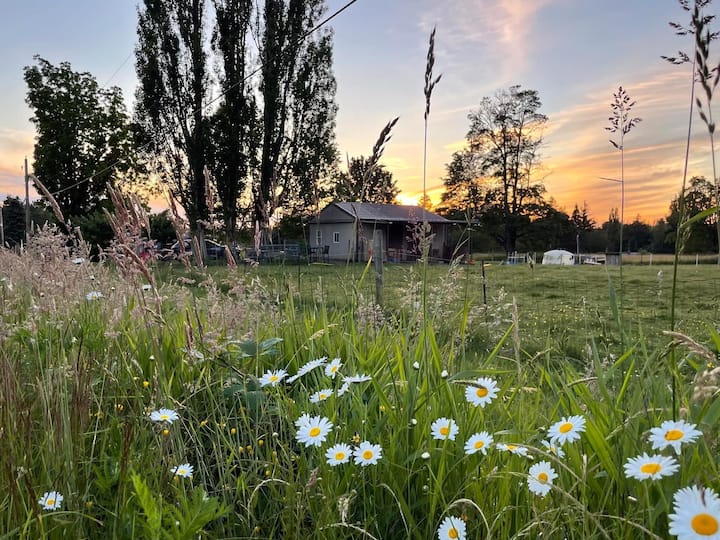 Rv Parking Or Camp Next To Goats - Ferndale, WA