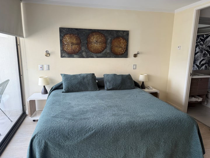 2205 Precioso Dep A Pasos Mall - Vitacura