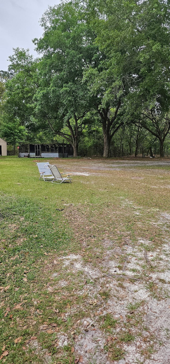 Country Living At Its Best! - Middleburg, FL